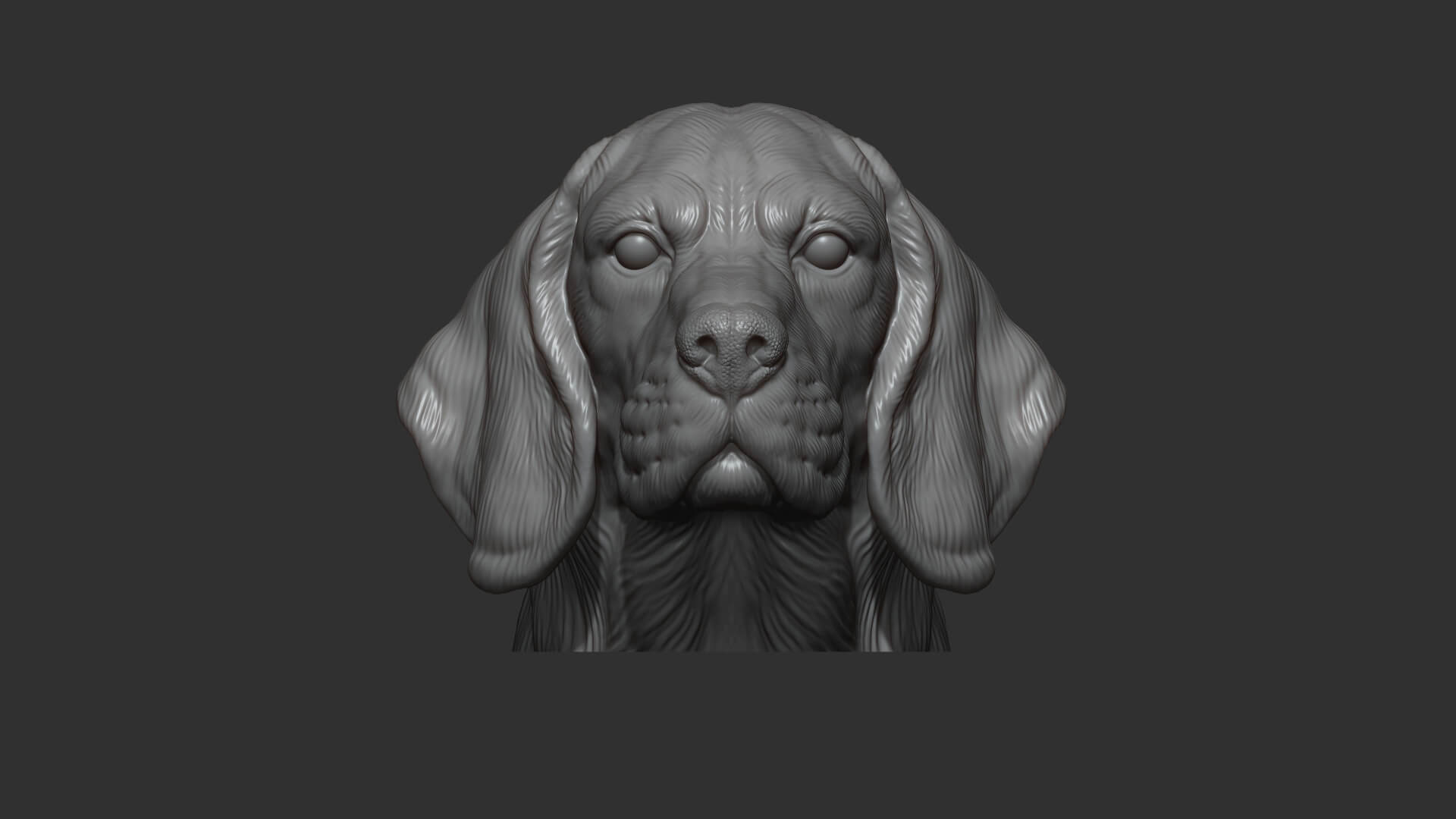 Beagle Dog Bust - 3D Model by guninnik81