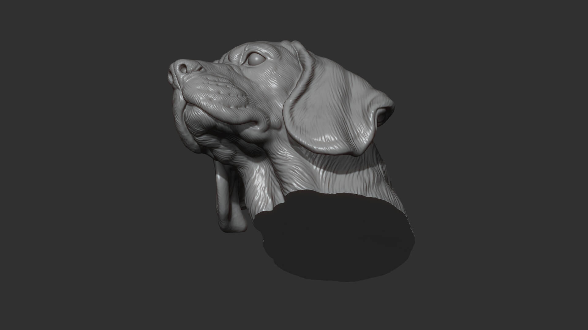 Beagle Dog Bust - 3D Print Model by guninnik81