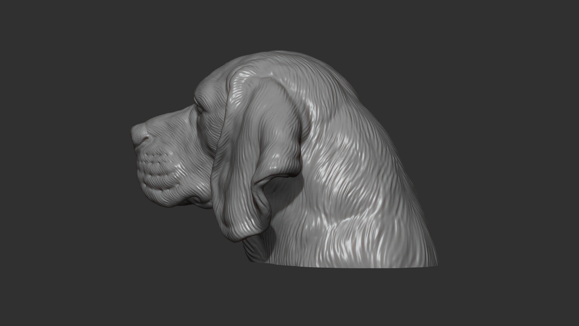 Beagle Dog Bust - 3D Model by guninnik81