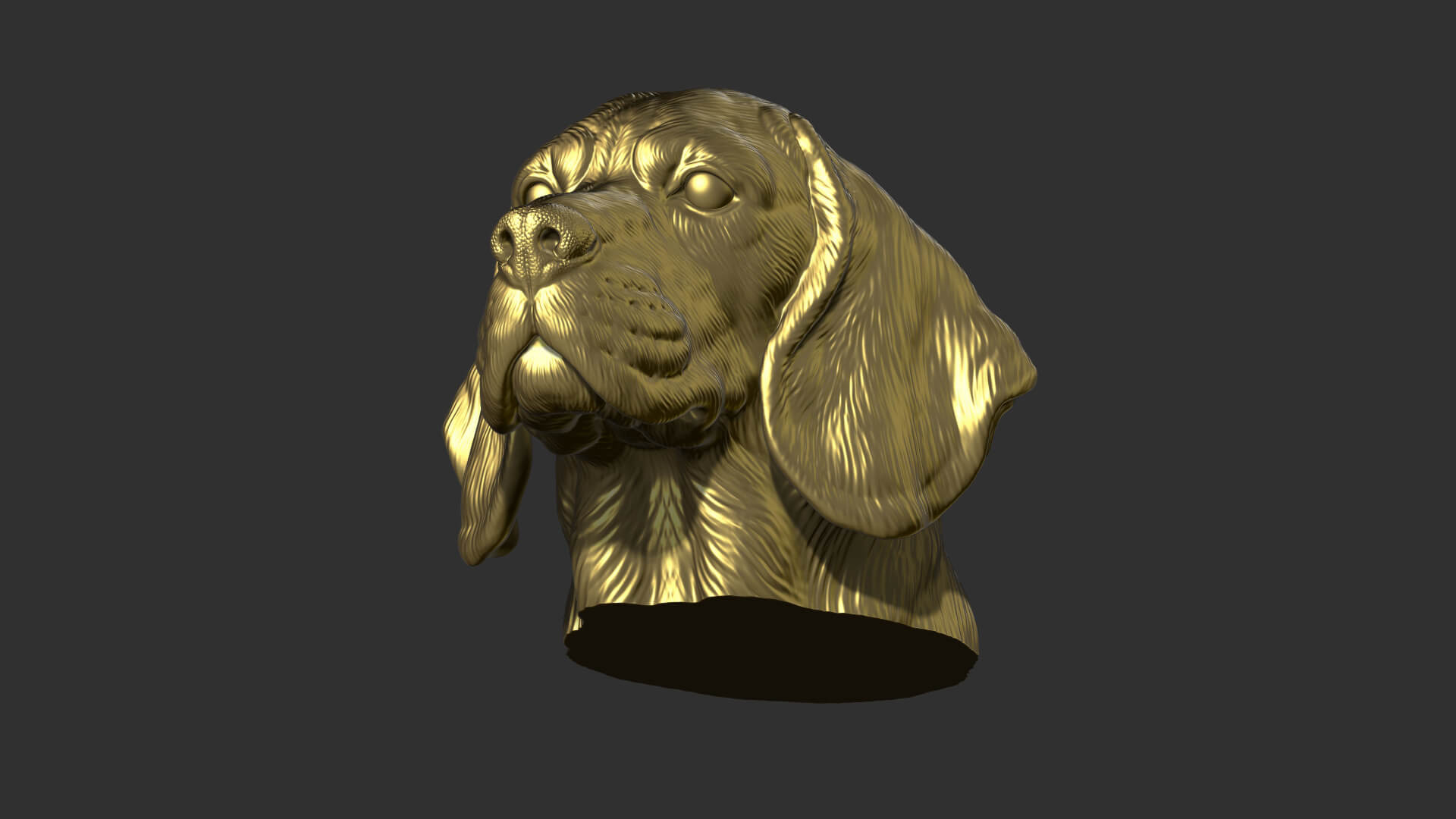 Beagle Dog Bust - 3D Model by guninnik81