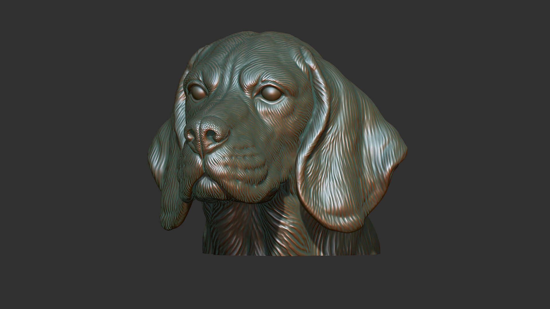 Beagle Dog Bust - 3D Print Model by guninnik81