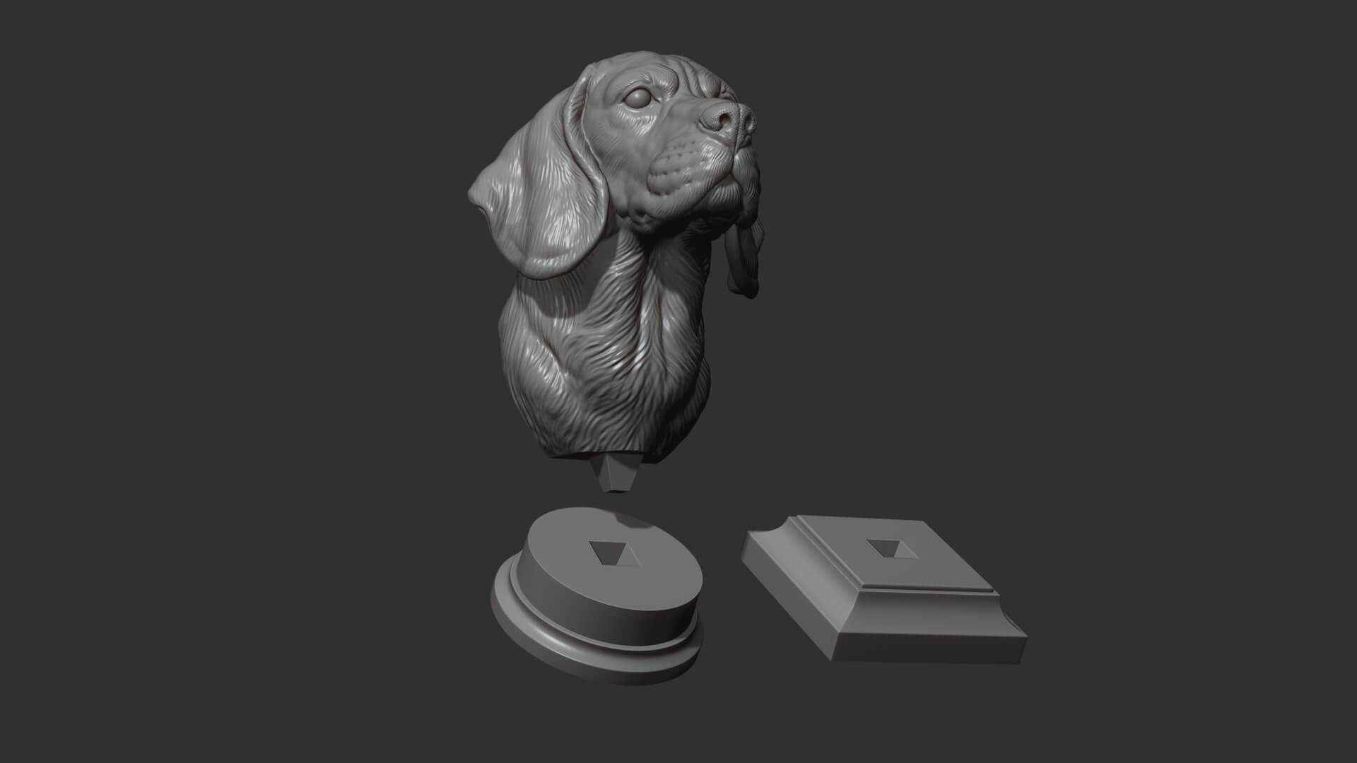 Beagle Dog Bust - 3D Model by guninnik81