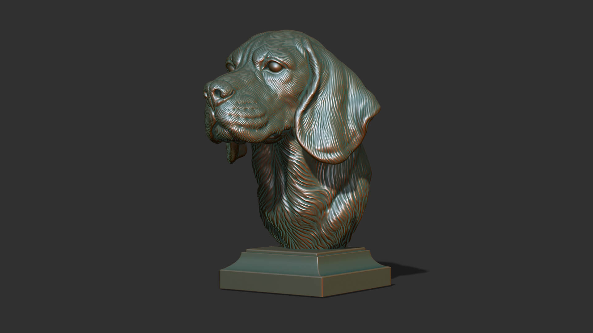 Beagle Dog Bust - 3D Model by guninnik81