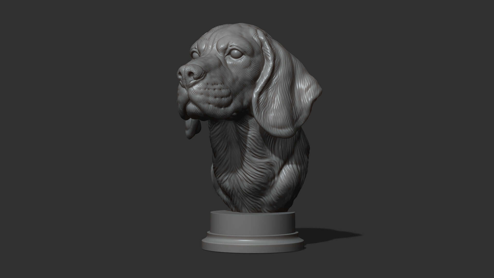 Beagle Dog Bust - 3D Model by guninnik81