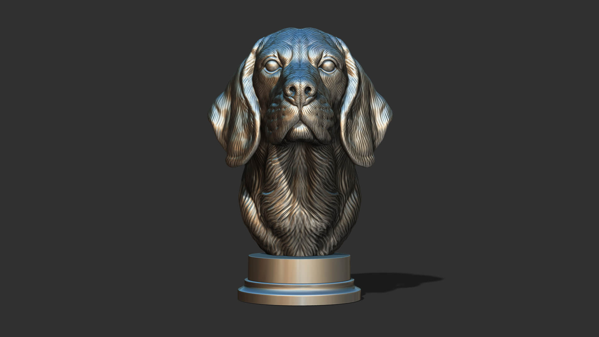 Beagle Dog Bust - 3D Model by guninnik81