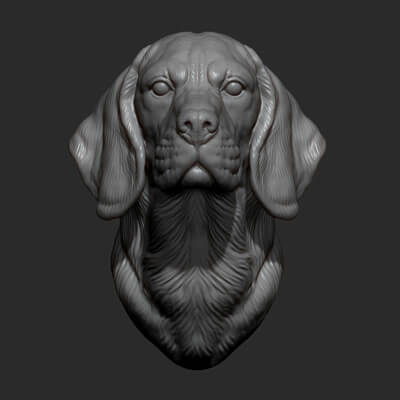 Beagle Dog Bust - 3D Model by guninnik81