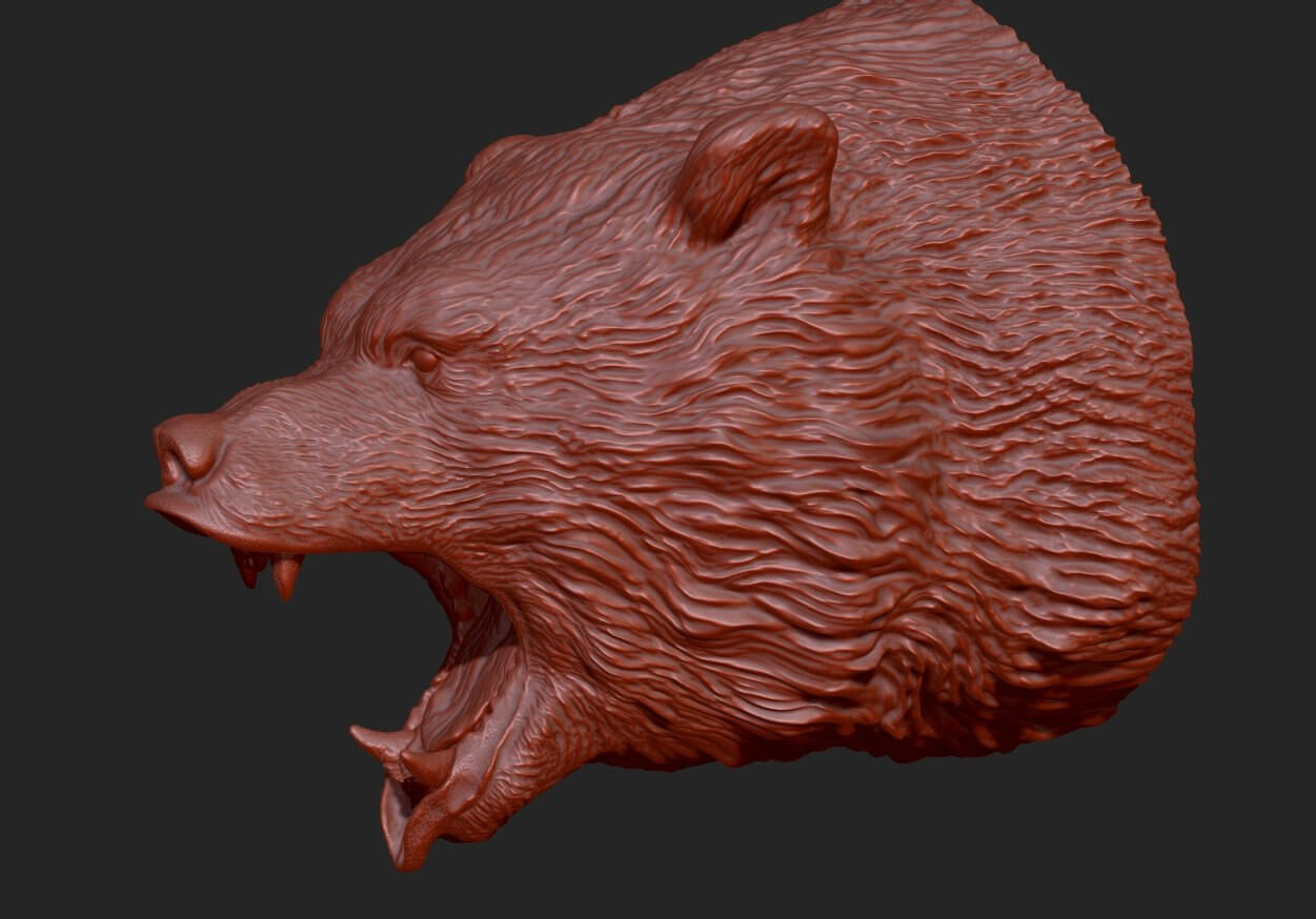 Bear Head - 3D Model by guninnik81