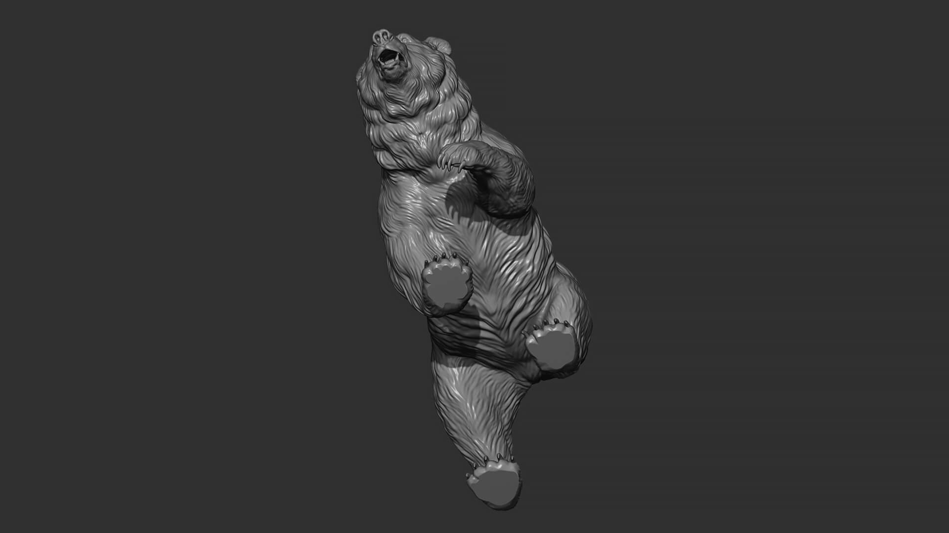Bear Walking - 3D Model by guninnik81