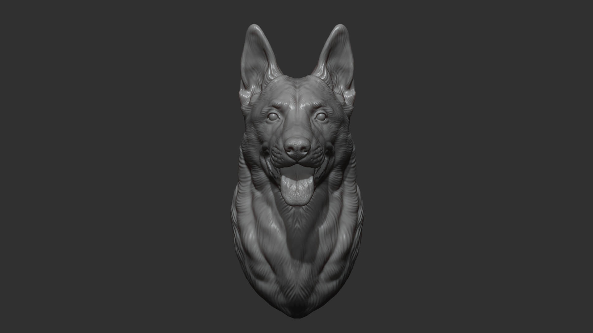 Belgian Shepherd Malinois Bust - 3D Print Model by guninnik81
