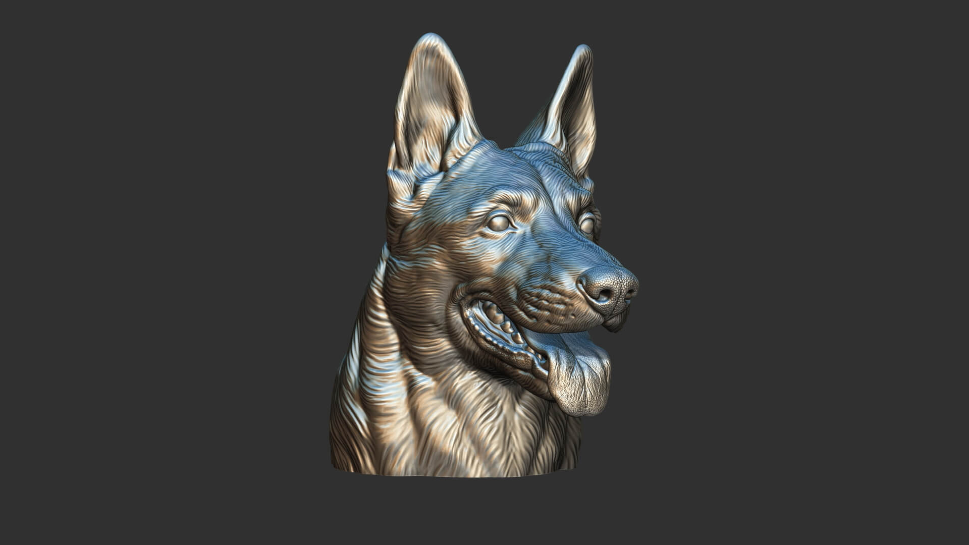 Belgian Shepherd Malinois Bust - 3D Print Model by guninnik81