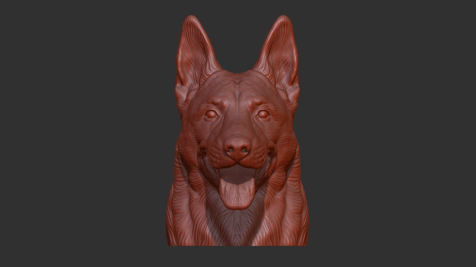 Belgian Shepherd Malinois Bust - 3D Model by guninnik81