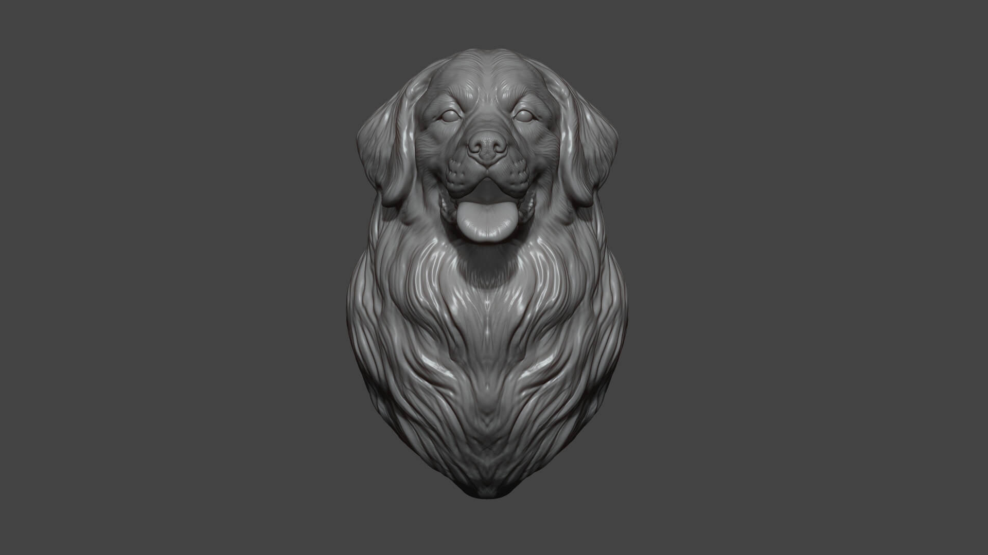 Bernese Mountain Dog - 3D Model by guninnik81