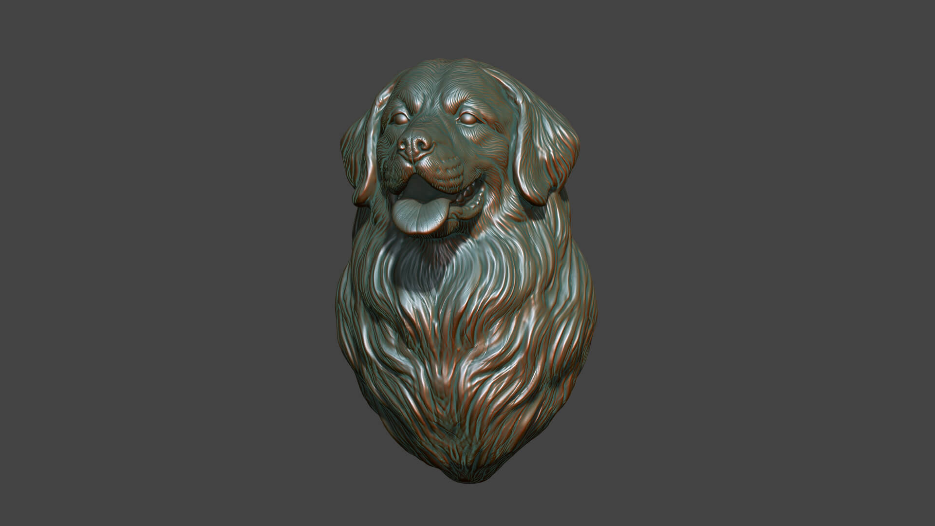 Bernese Mountain Dog - 3D Model by guninnik81