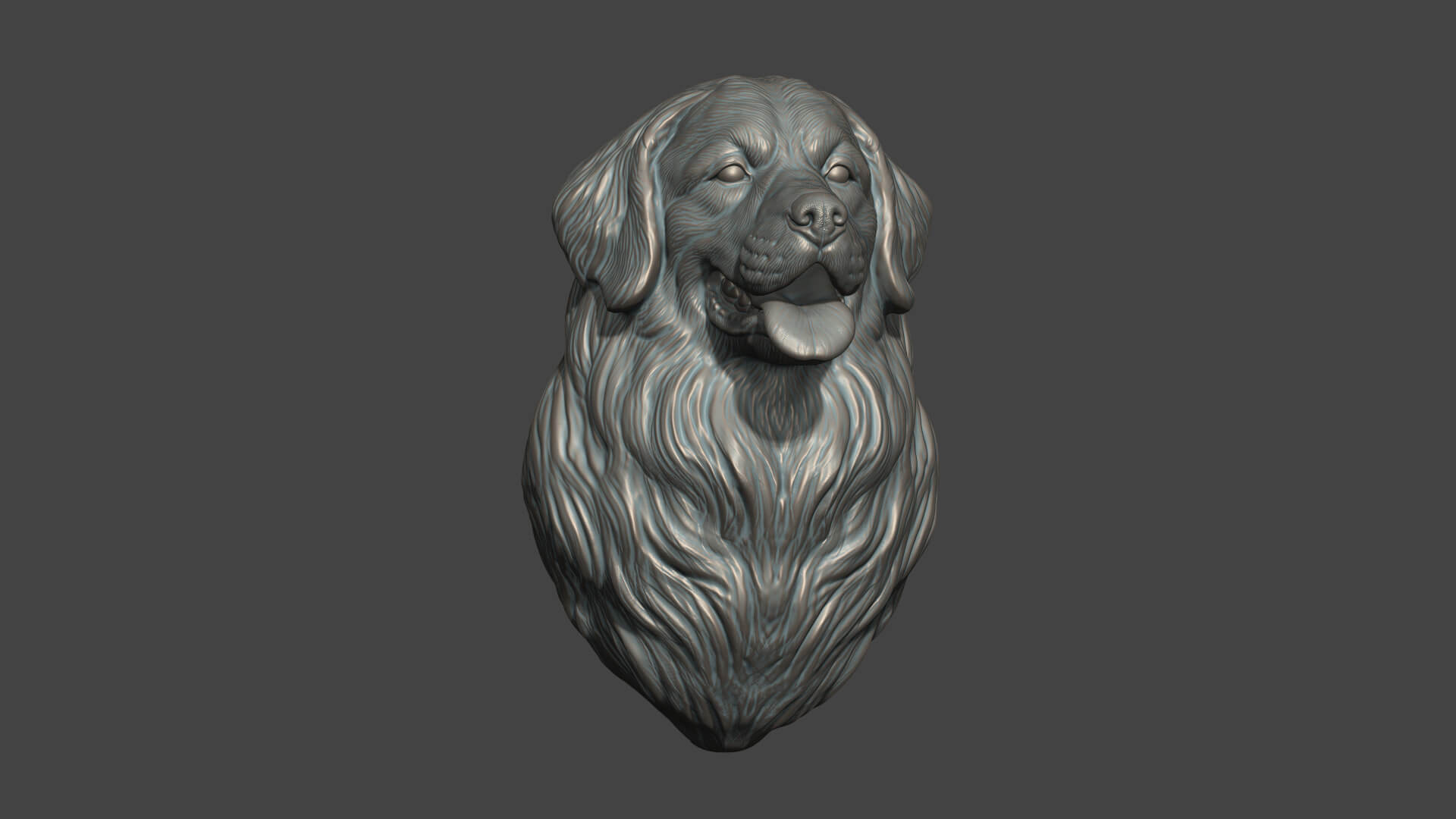 Bernese Mountain Dog - 3D Model by guninnik81