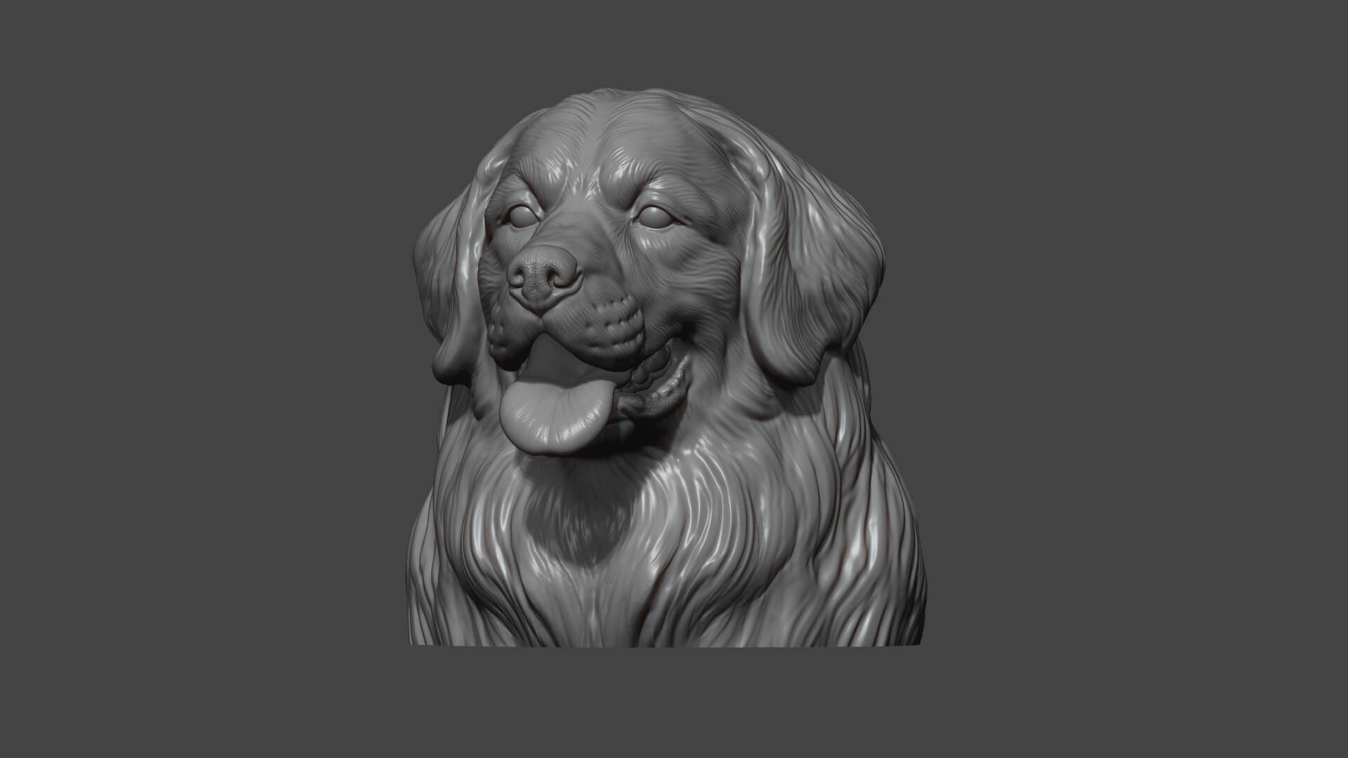 Bernese Mountain Dog - 3D Model by guninnik81