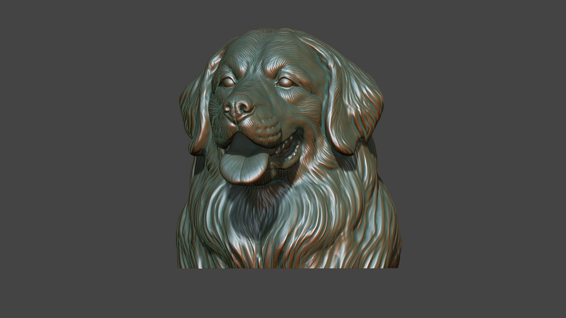Bernese Mountain Dog - 3D Model by guninnik81