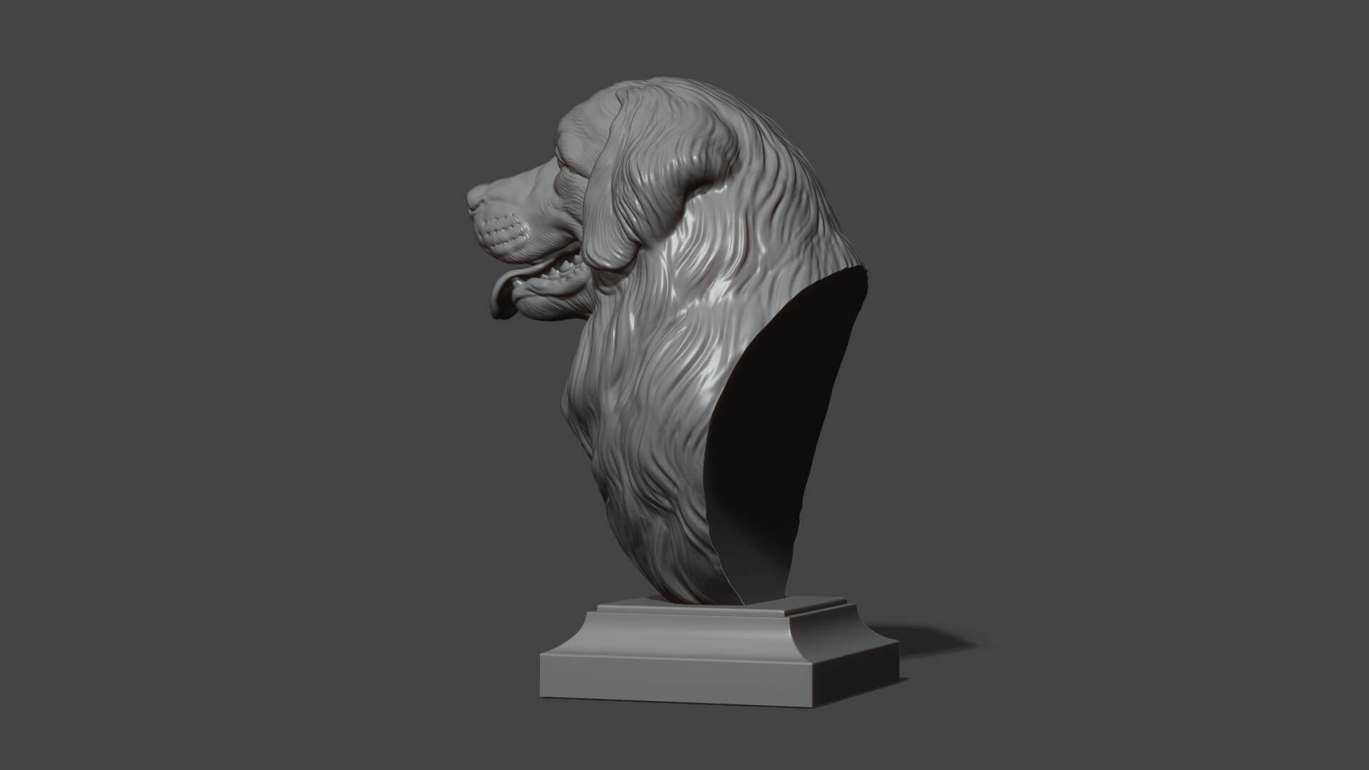 Bernese Mountain Dog - 3D Model by guninnik81