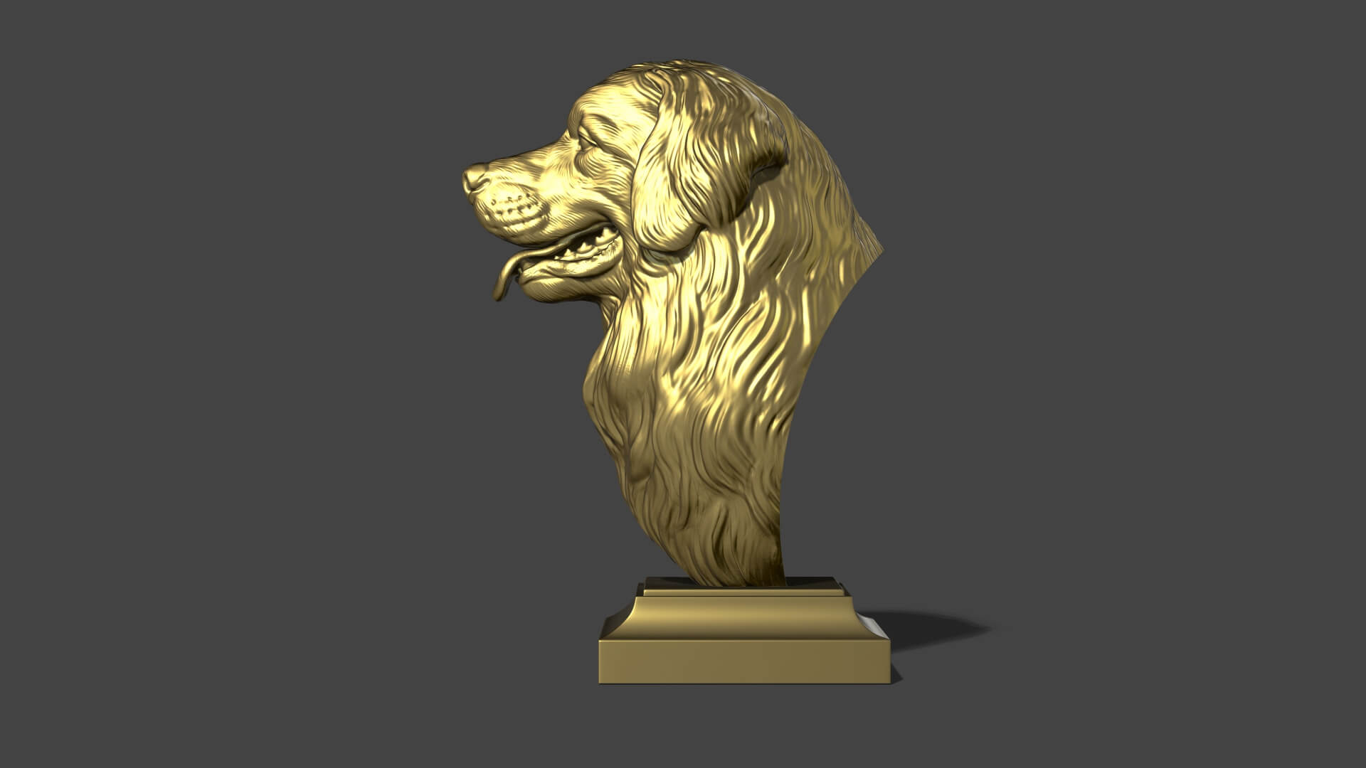Bernese Mountain Dog - 3D Model by guninnik81