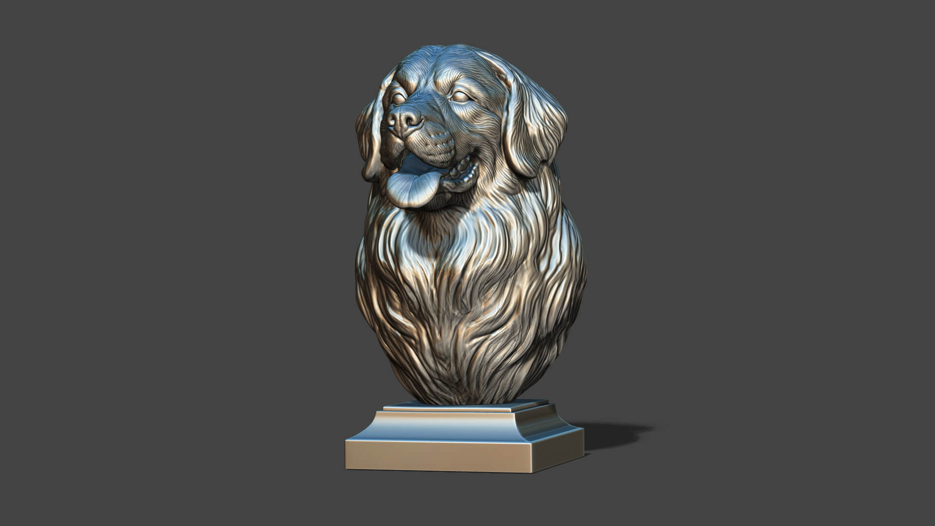 Bernese Mountain Dog - 3D Model by guninnik81