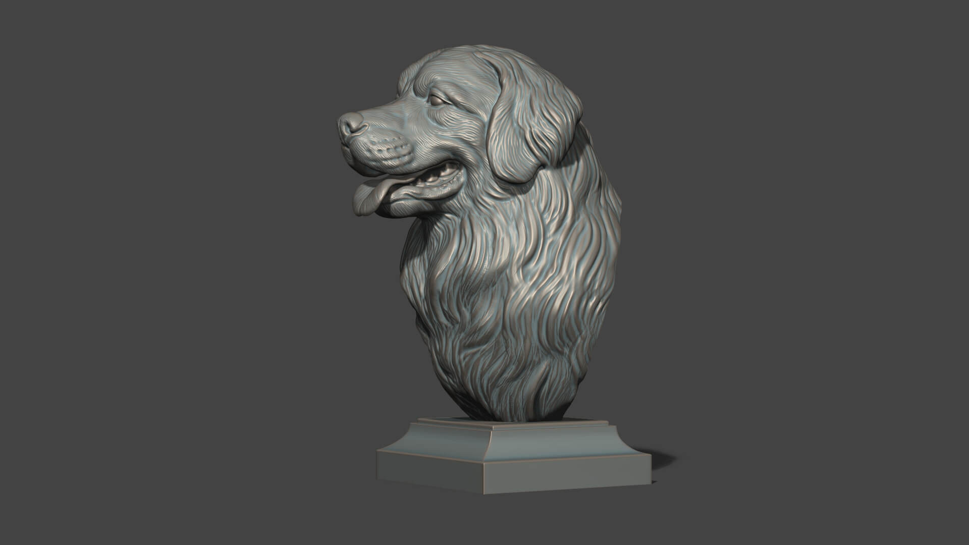 Bernese Mountain Dog - 3D Model by guninnik81