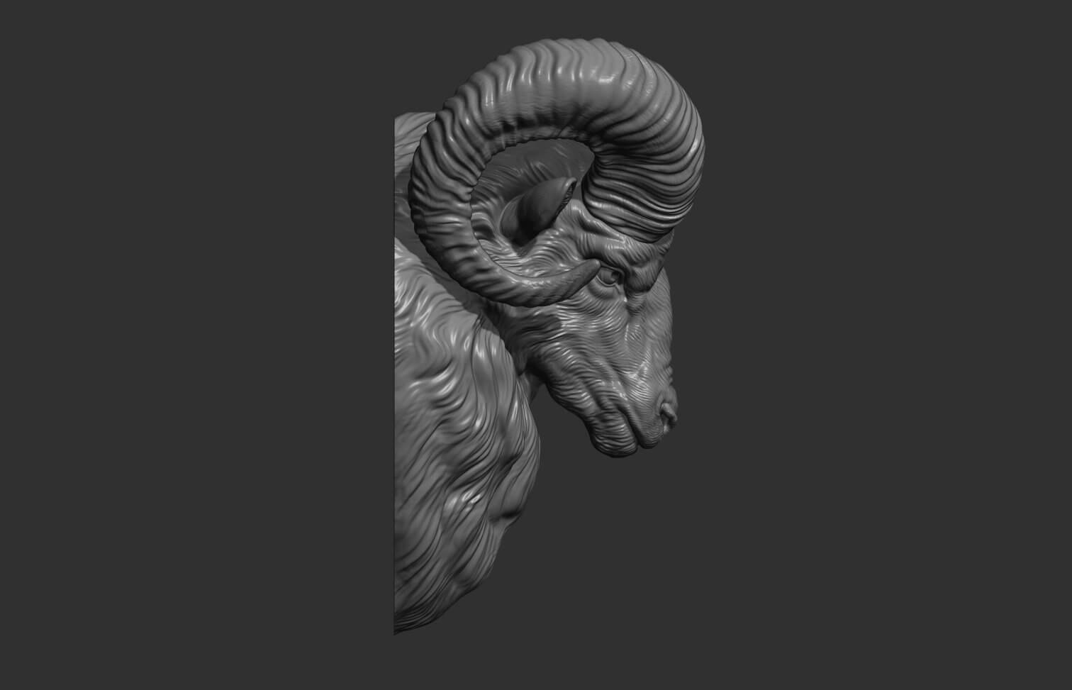 Big Horned Ram Head - 3D Model by guninnik81