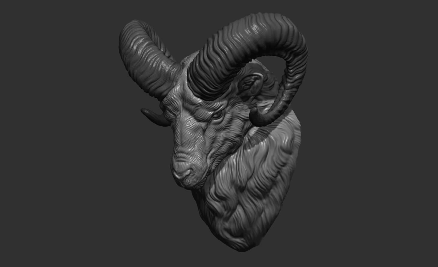 Big Horned Ram Head - 3D Model by guninnik81