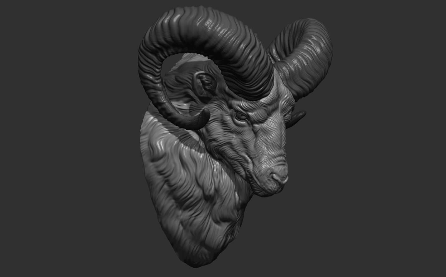 Big Horned Ram Head - 3D Model by guninnik81