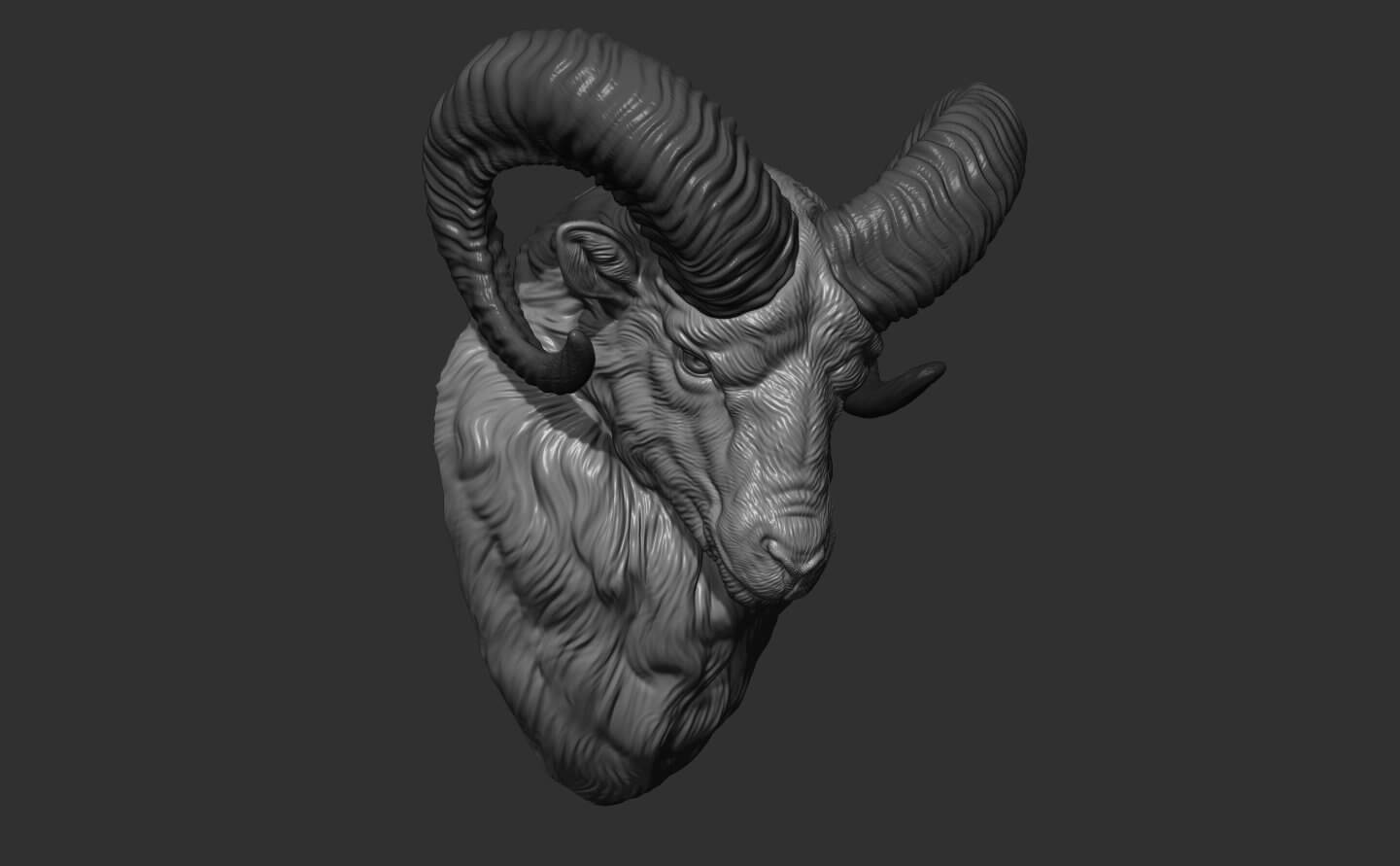 Big Horned Ram Head - 3D Model by guninnik81