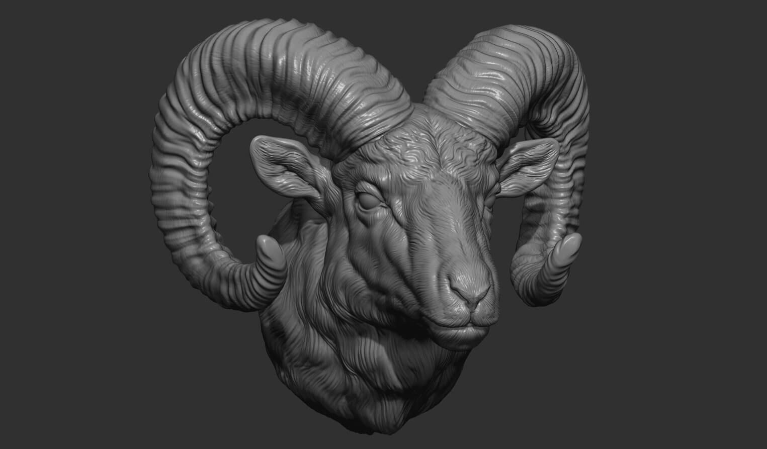 Big Horned Ram - 3D Model by guninnik81