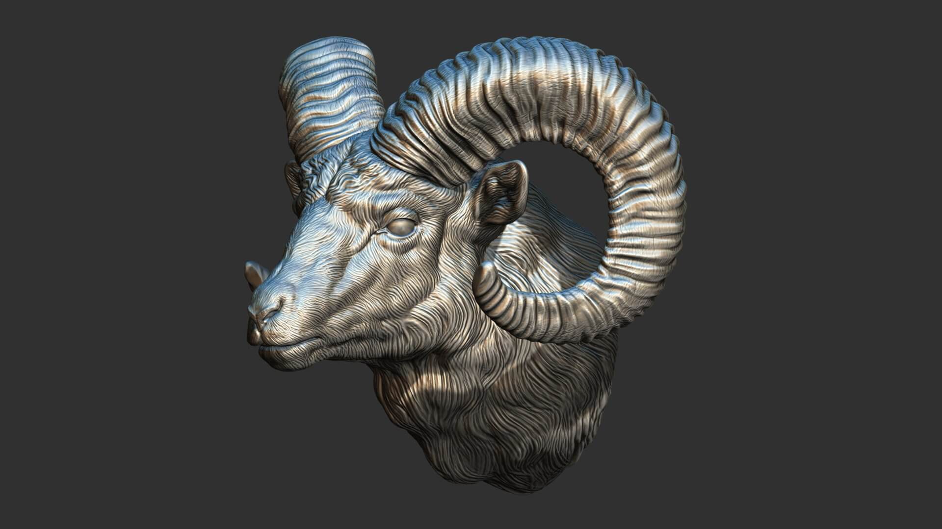 Big Horned Ram - 3D Model by guninnik81