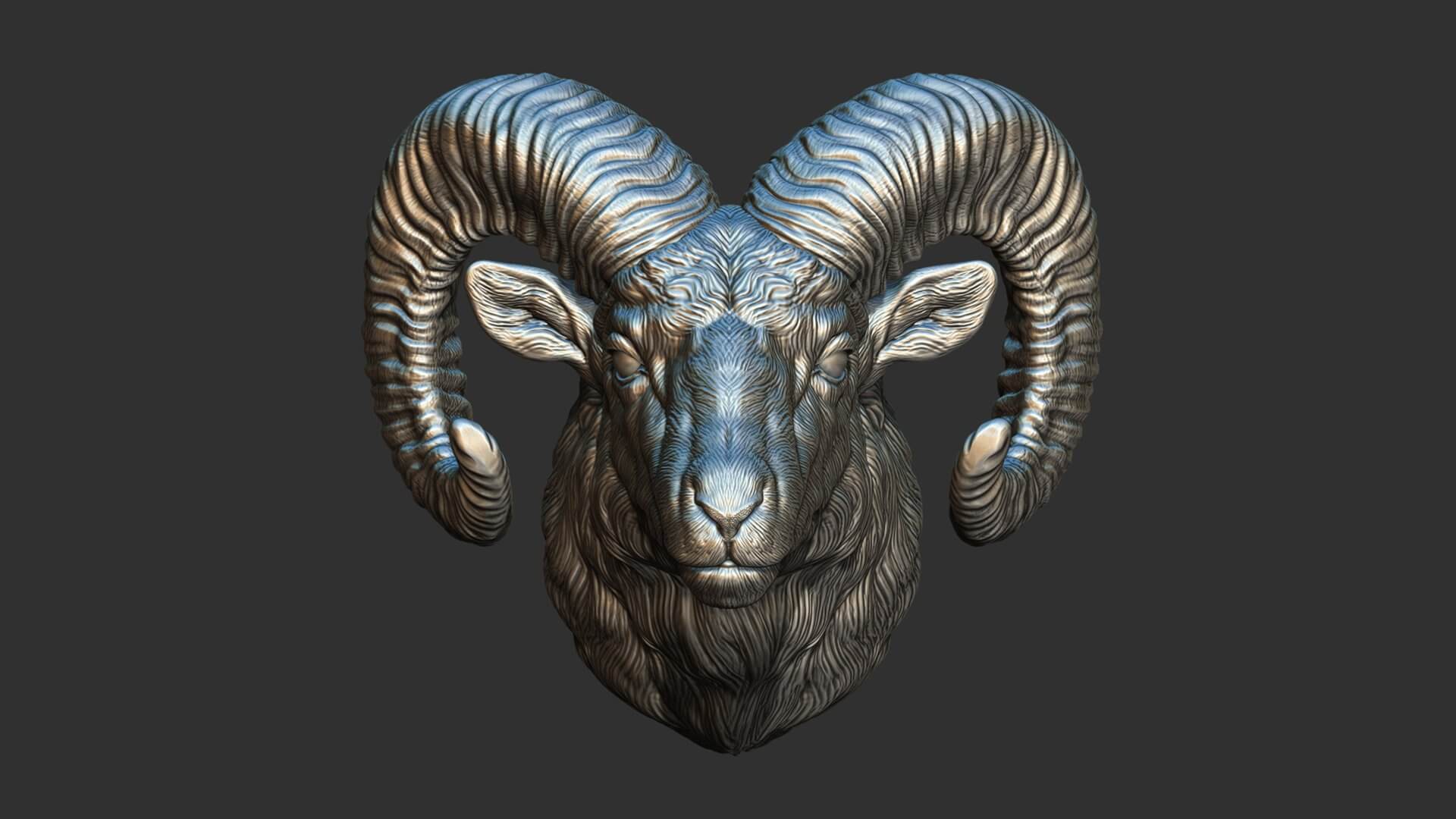 Big Horned Ram - 3D Model by guninnik81