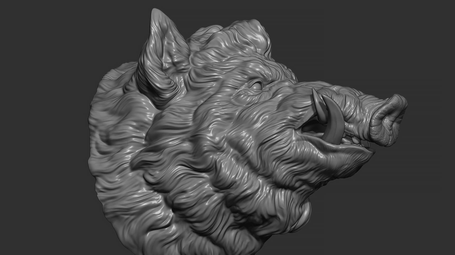 Boar Hog - 3D Model by guninnik81