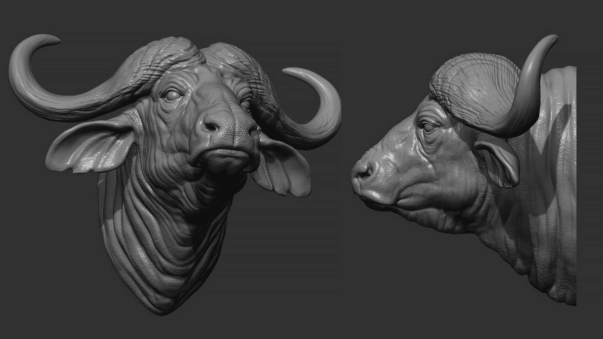 Buffalo Head - 3D Model by guninnik81