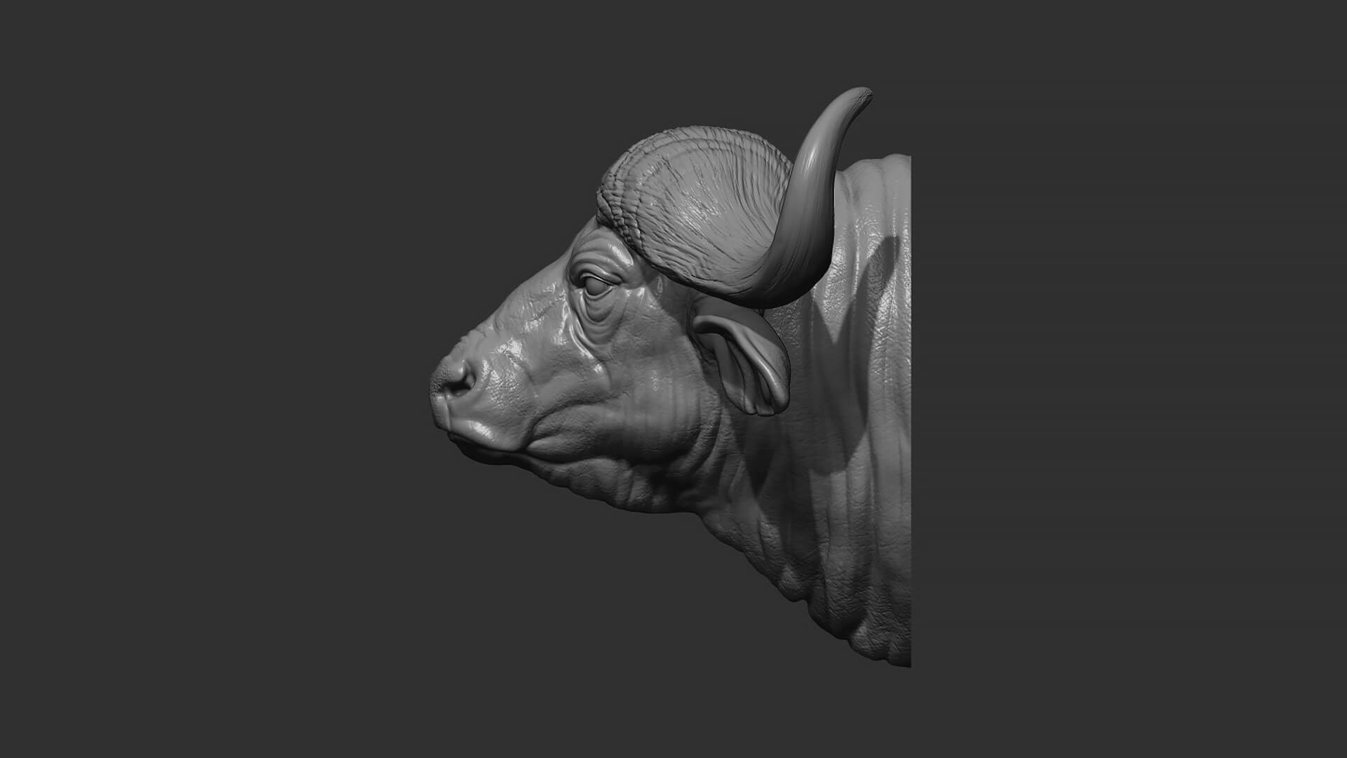 Buffalo Head - 3D Model by guninnik81