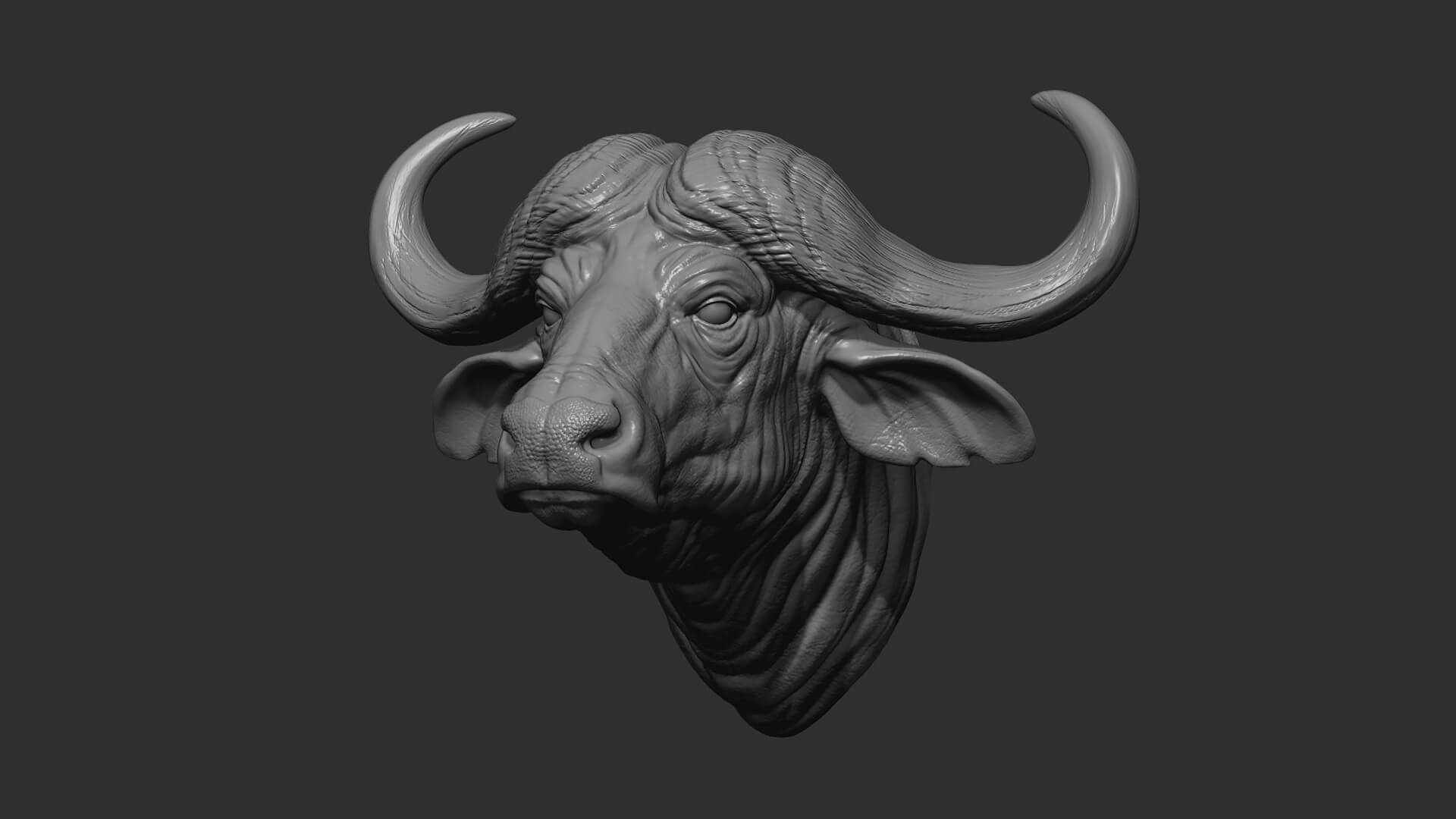 Buffalo Head - 3D Model by guninnik81