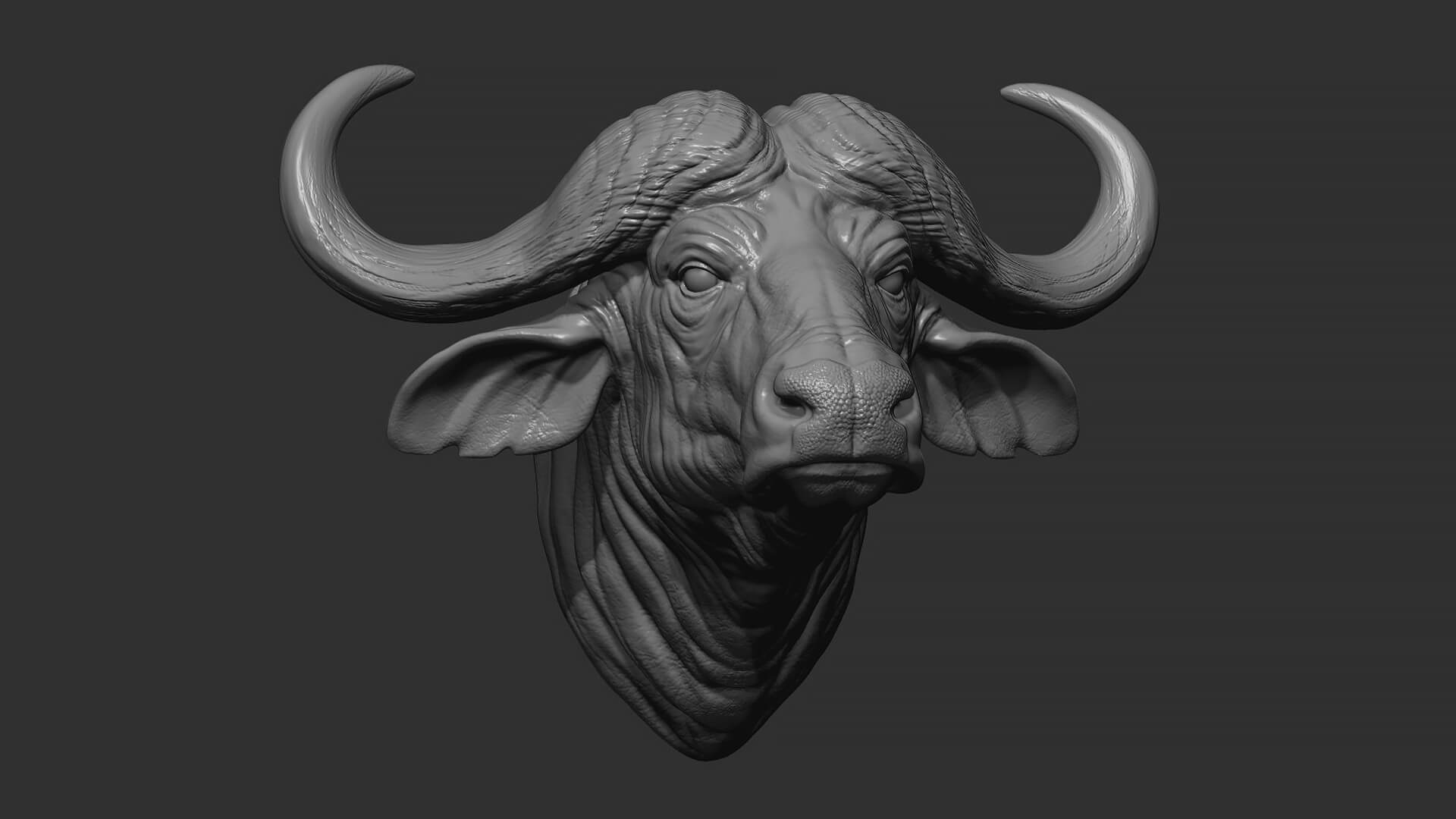 Buffalo Head - 3D Model by guninnik81