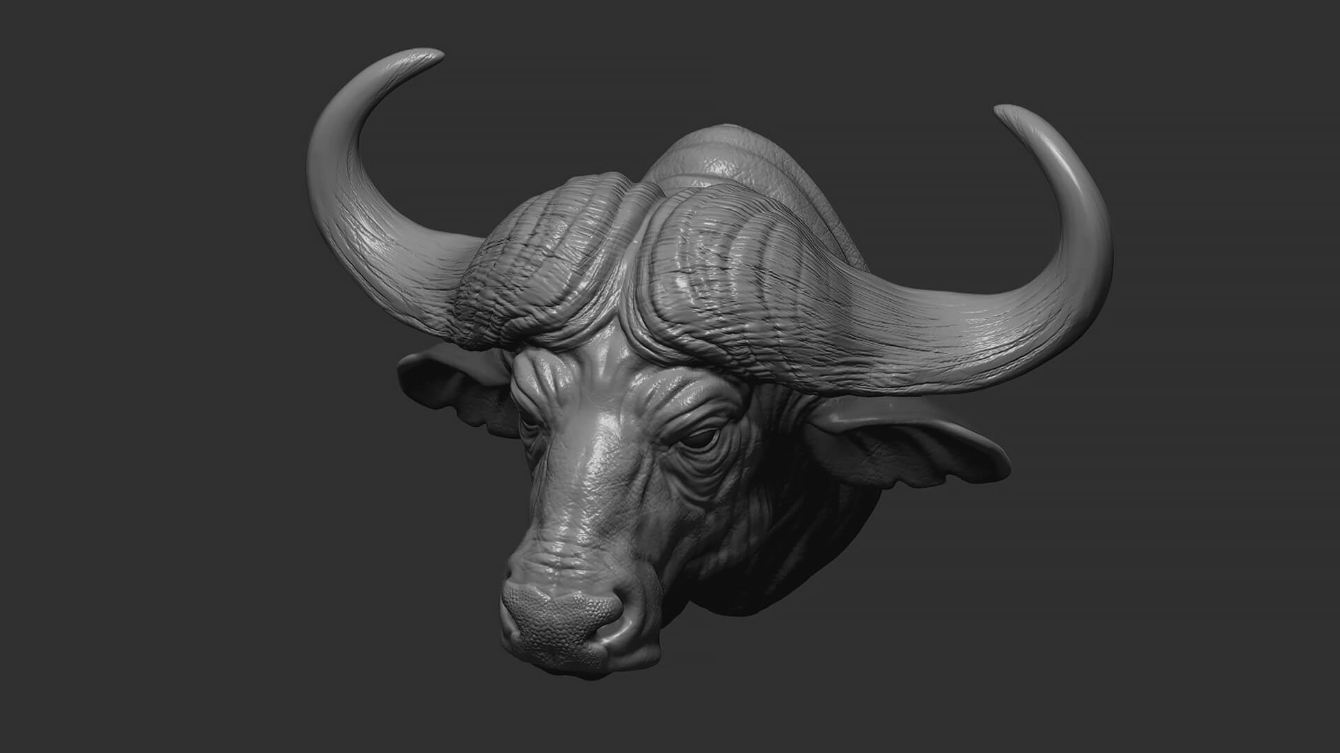Buffalo Head - 3D Model by guninnik81