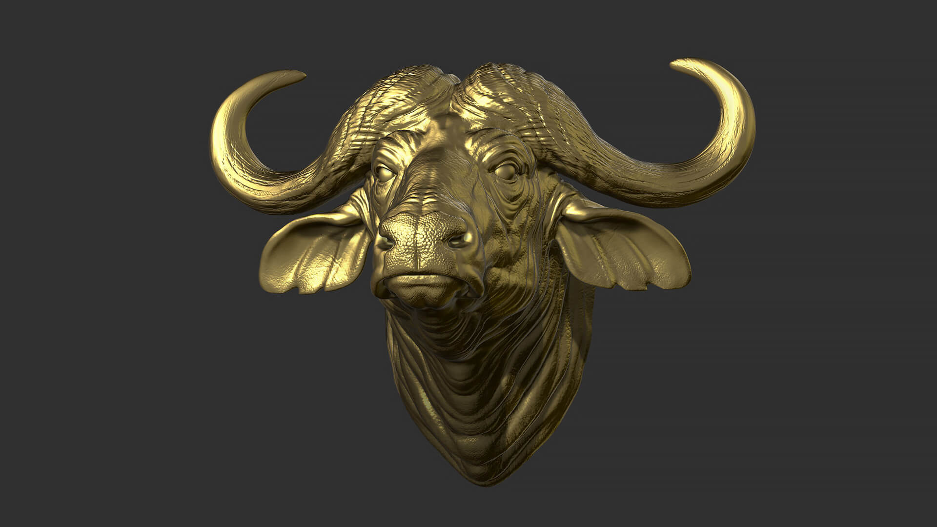Buffalo Head - 3D Model by guninnik81