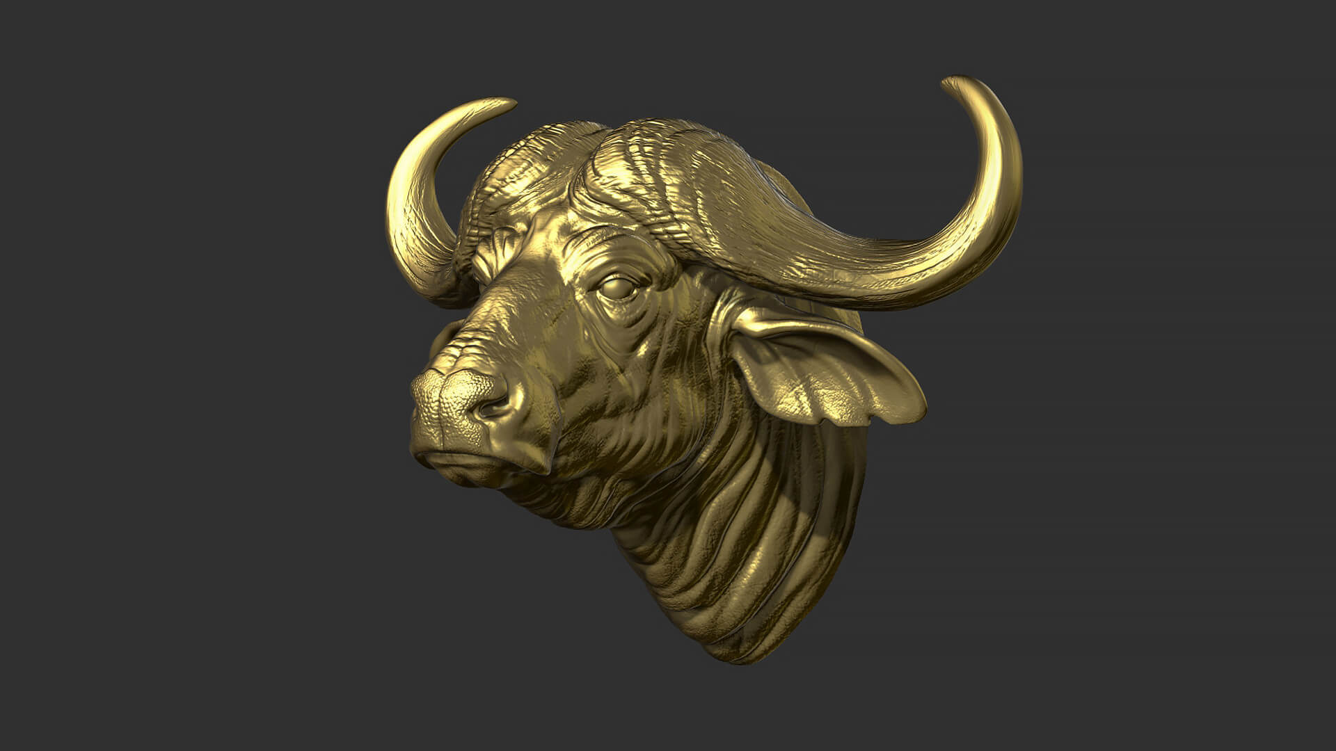 Buffalo Head - 3D Model by guninnik81