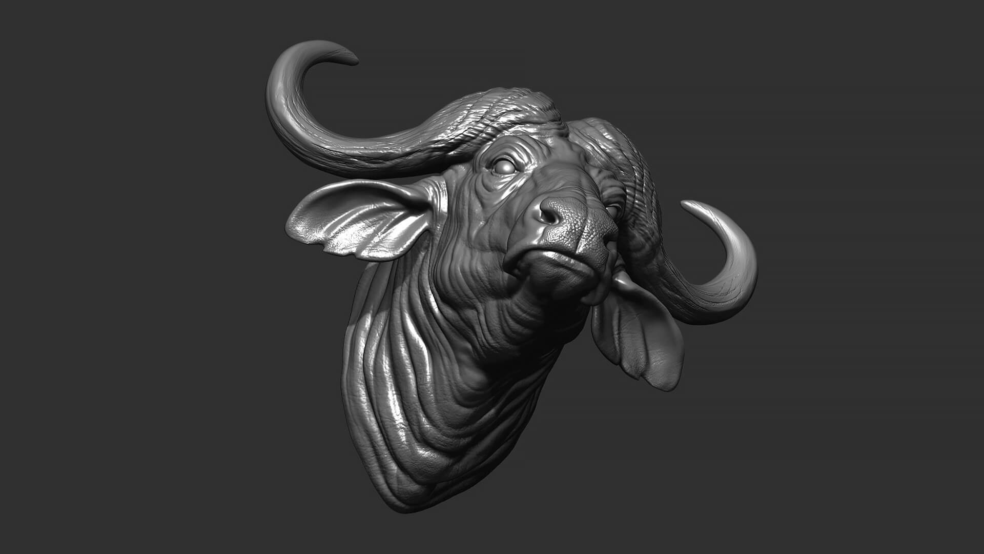 Buffalo Head - 3D Model by guninnik81