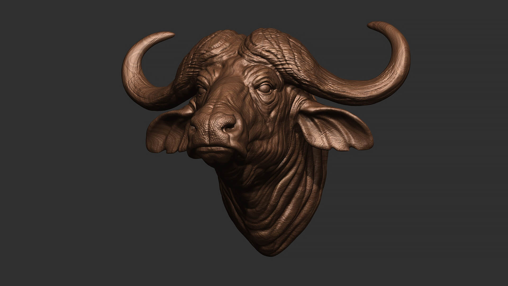 Buffalo Head - 3D Model by guninnik81
