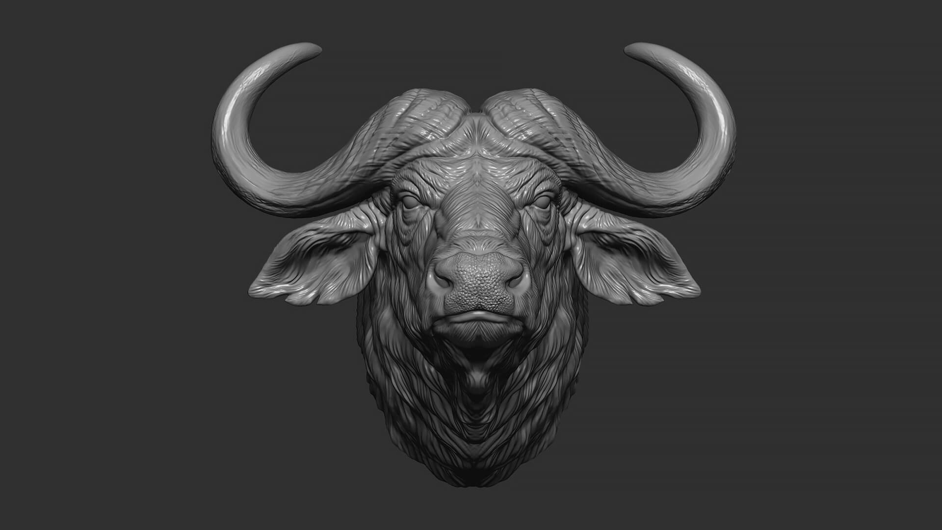 Buffalo Shaggy Head - 3D Model by guninnik81