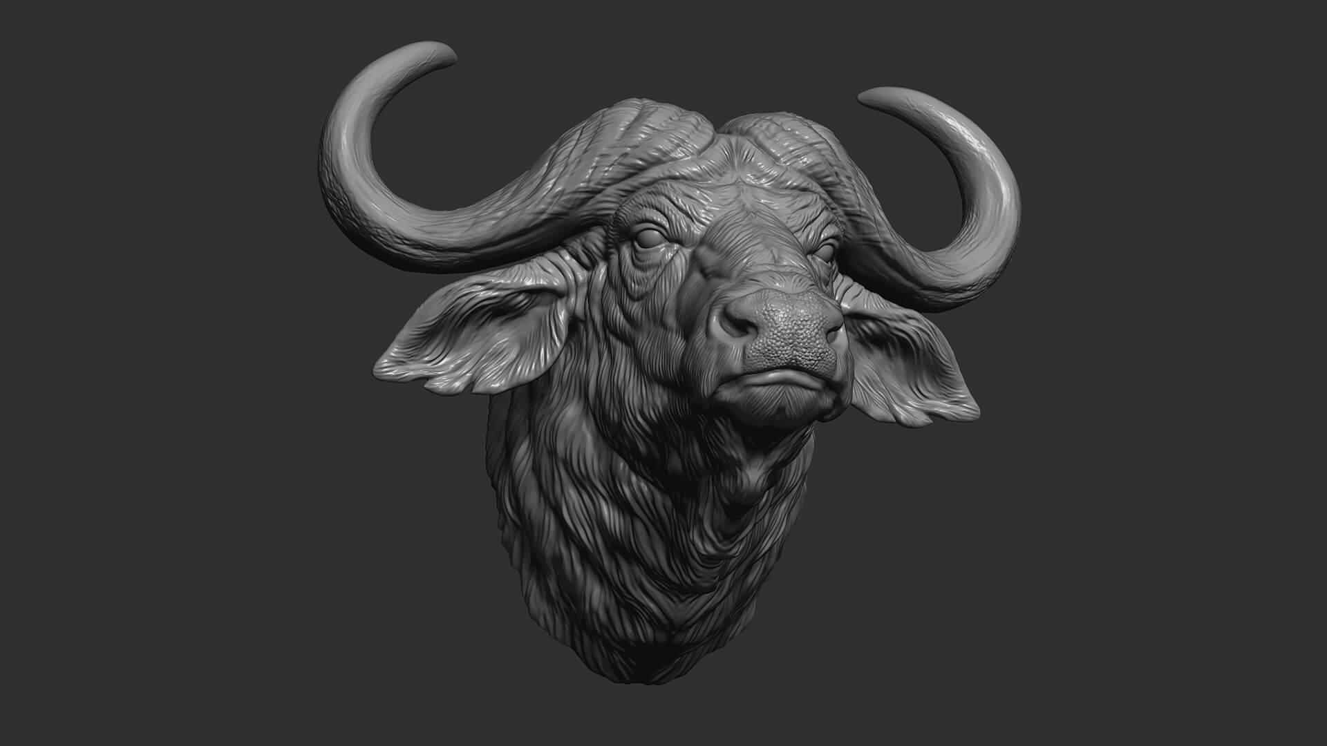 Buffalo Shaggy Head - 3D Model by guninnik81
