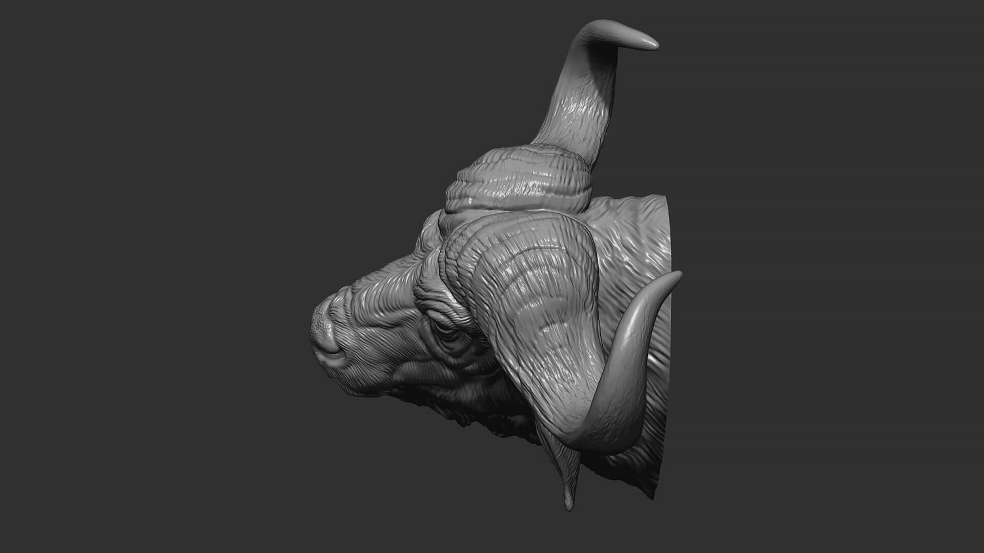 Buffalo Shaggy Head - 3D Model by guninnik81