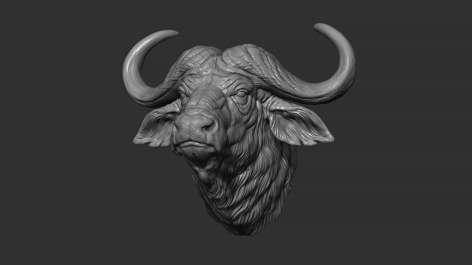 Buffalo Shaggy Head - 3D Print Model by guninnik81