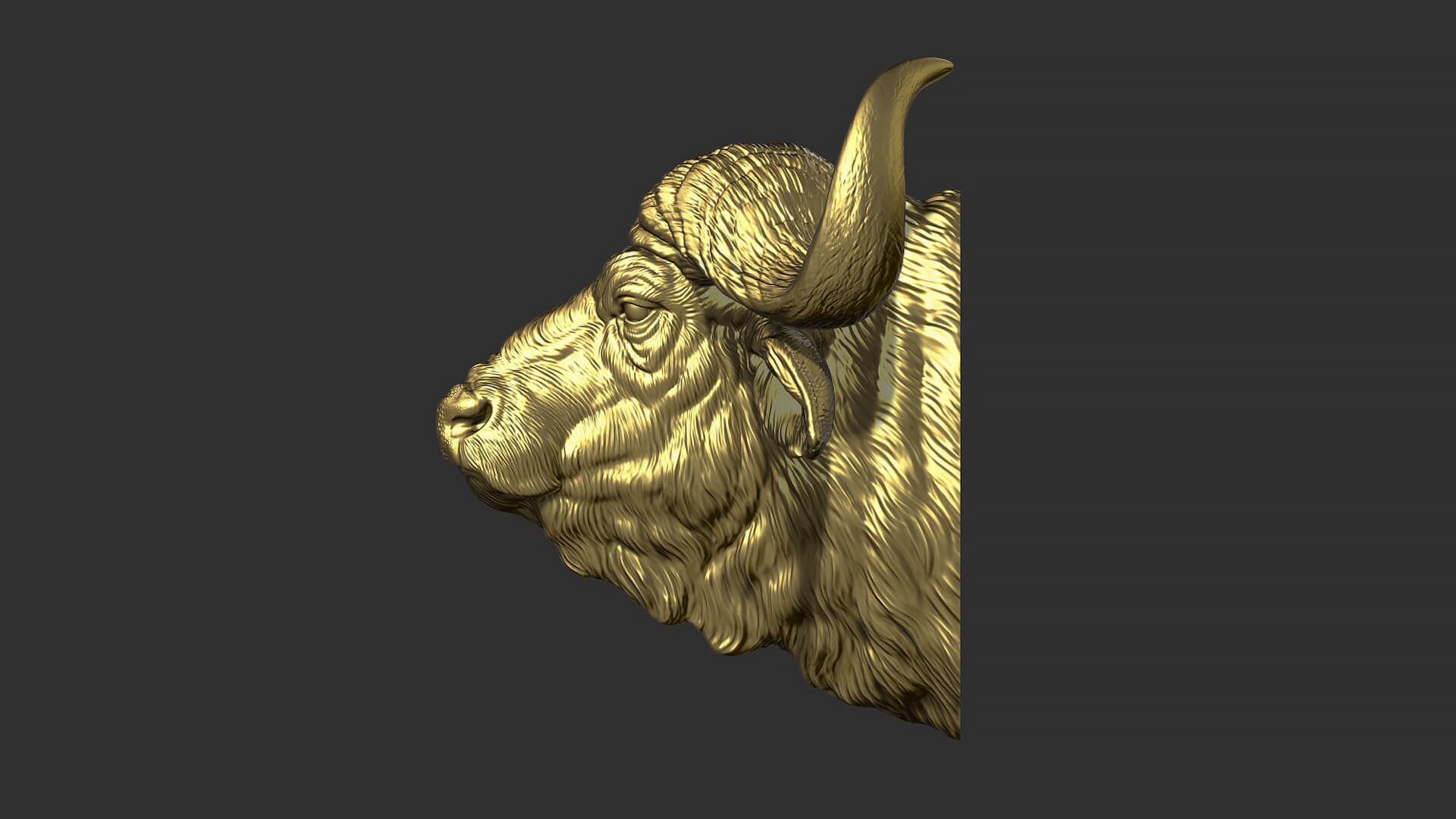 Buffalo Shaggy Head - 3D Model by guninnik81
