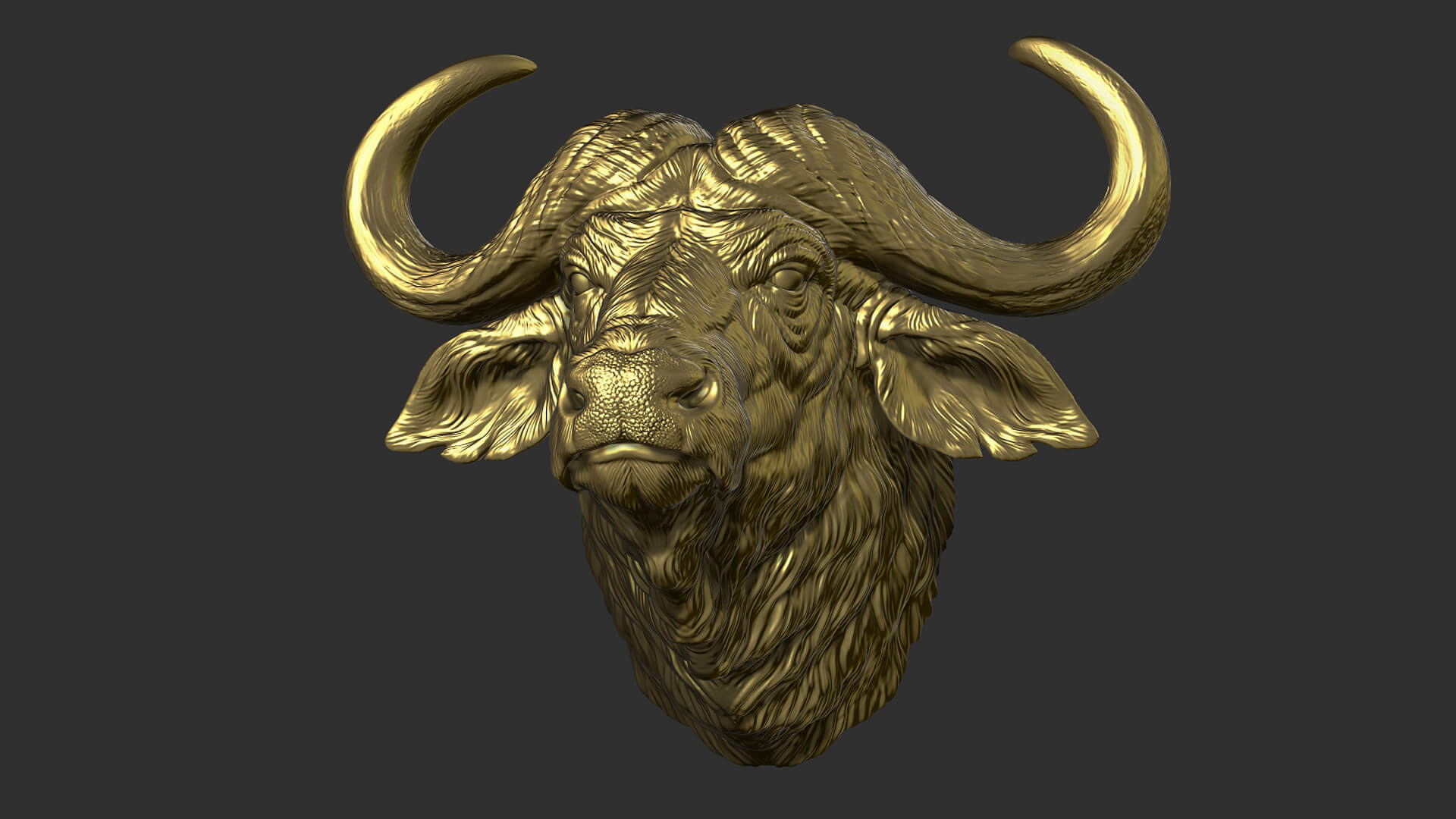 Buffalo Shaggy Head - 3D Model by guninnik81