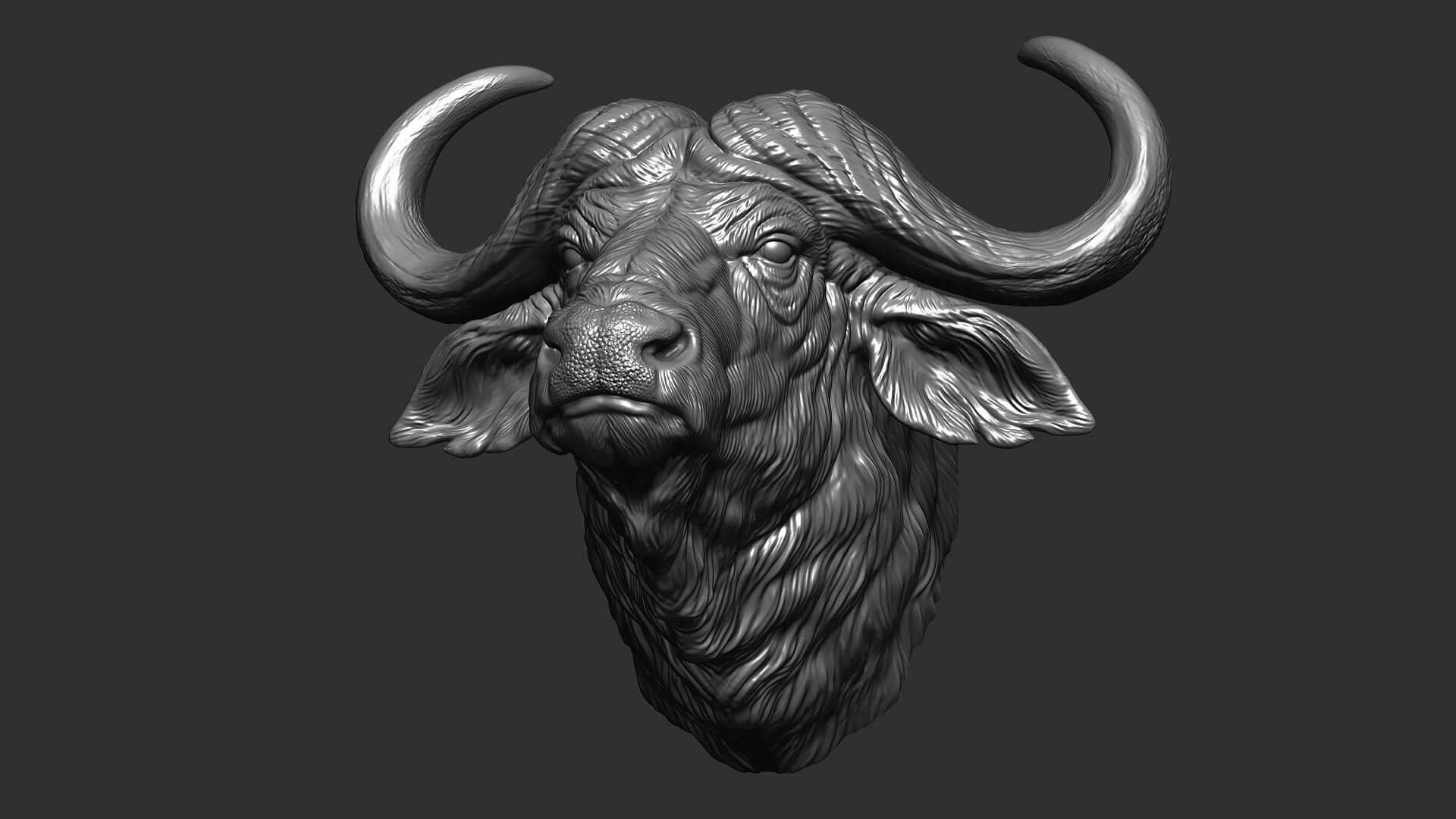 Buffalo Shaggy Head - 3D Model by guninnik81
