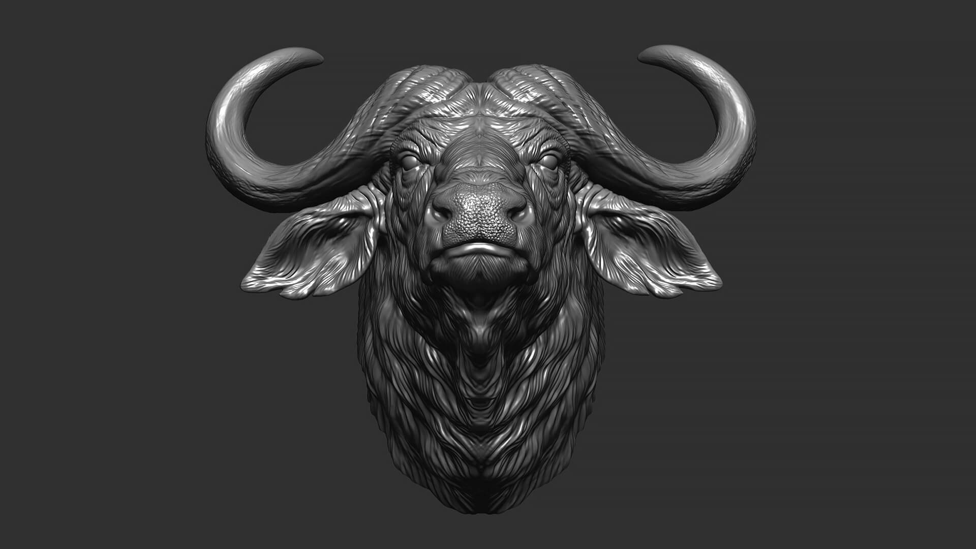 Buffalo Shaggy Head - 3D Model by guninnik81