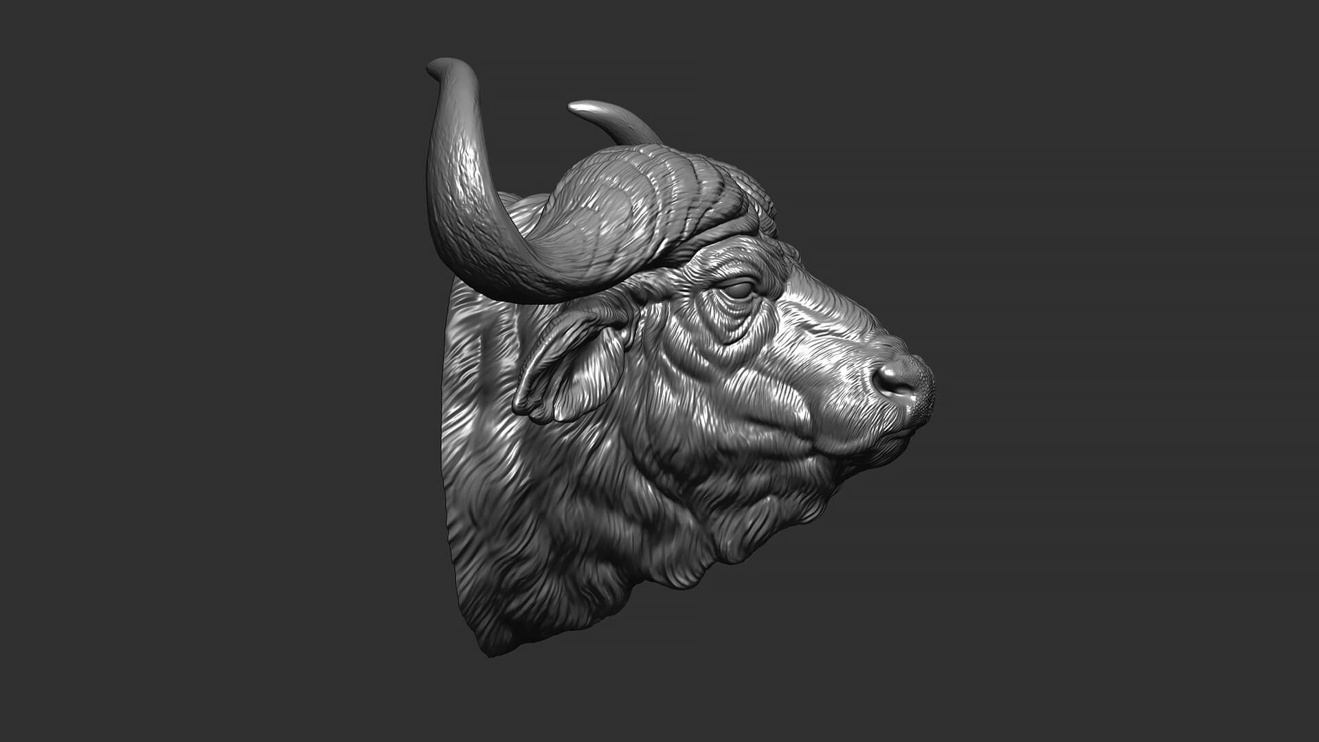 Buffalo Shaggy Head - 3D Model by guninnik81